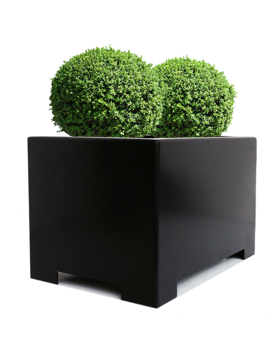 black rectangle planter box