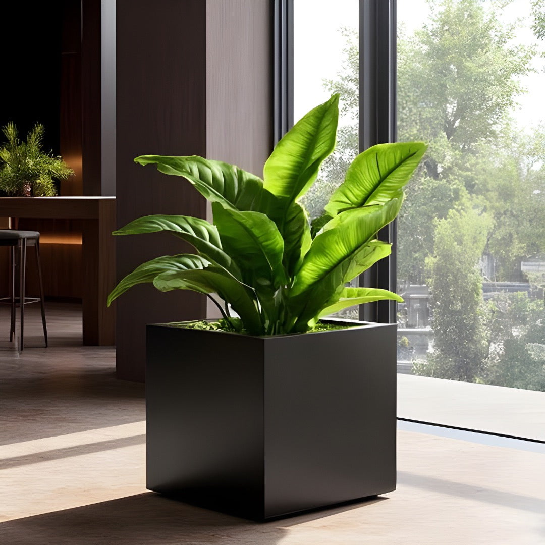 Modern Black Square Planters Indoor and Outdoor Cube Planter Boxes ...
