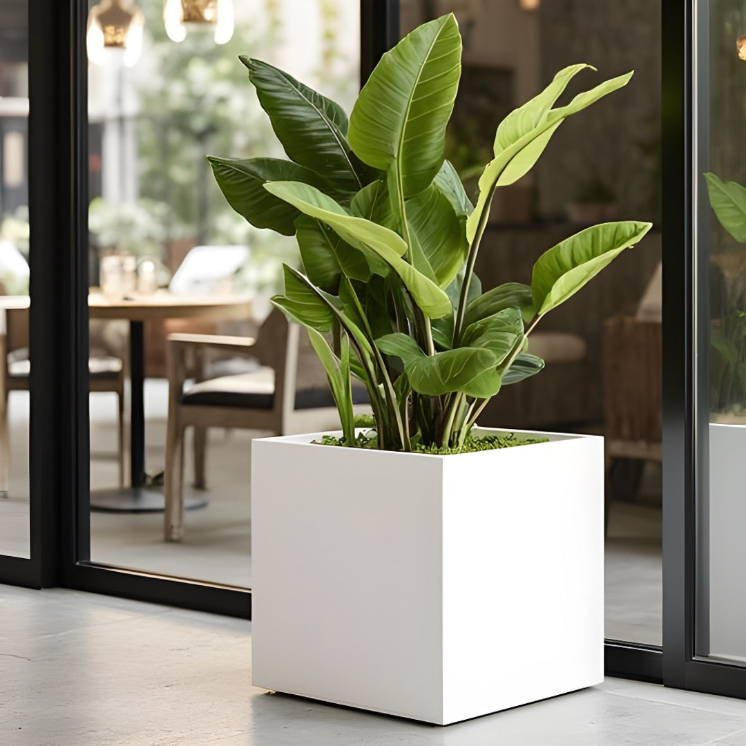 Modern White Square Planter Boxes Architectural Large, Tall White Pots ...