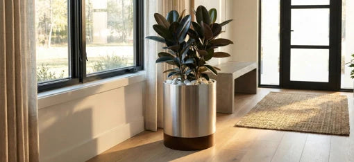 Modern Indoor Planter Pot, Box for Indoor Plants. Modern Minimalist ...