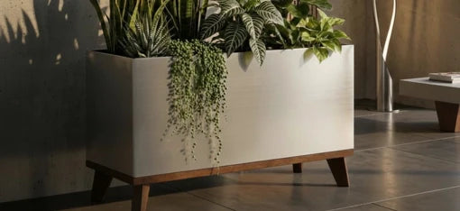 Office Planter Pots and Boxes. Indoor Office Space, Reception, Cubicle ...