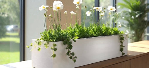 NMN Designs Outdoor Planter Pot and Garden Collection | NMN Products