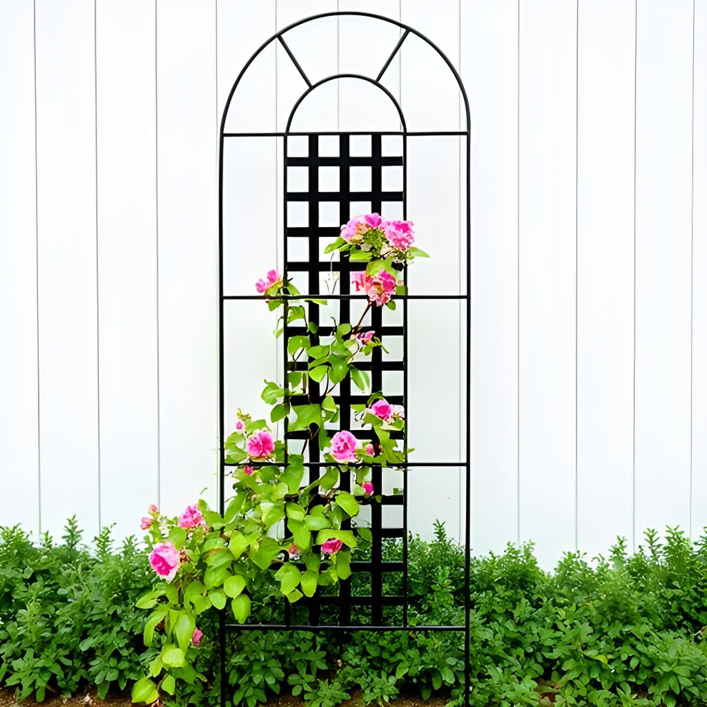 Trellis Designs Climbing Rose