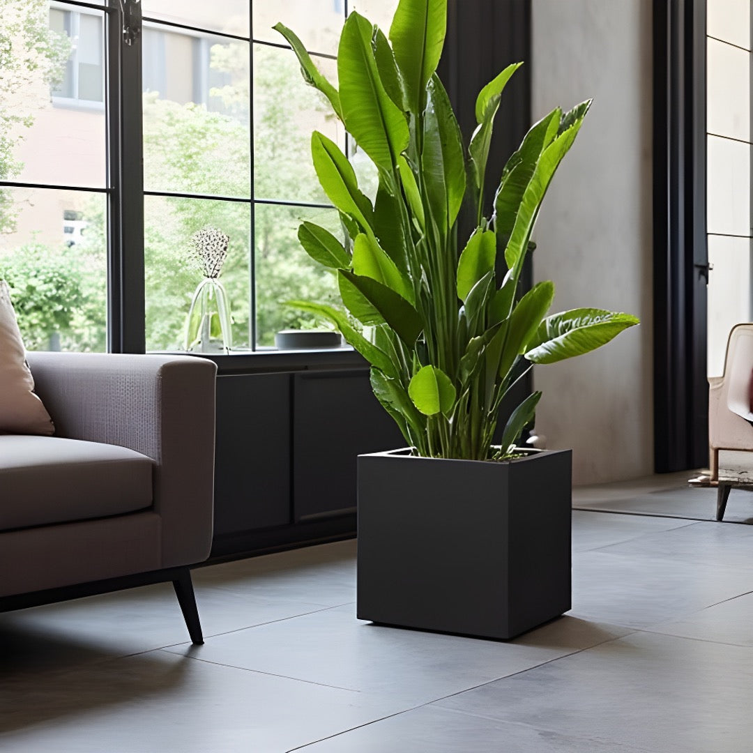 Seeley Cube Planter Box. Fiberglass Block Square 14" - 30" Extra Large ...