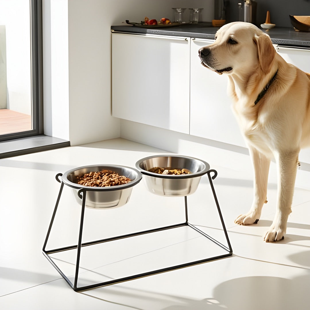 Stylish Wrought Iron Elevated Dog Bowls w/ Stand. Small - Large Dog ...