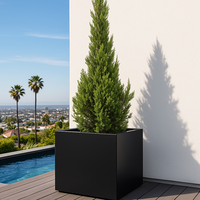Office Planter Pots and Boxes. Indoor Office Space, Reception, Cubicle ...
