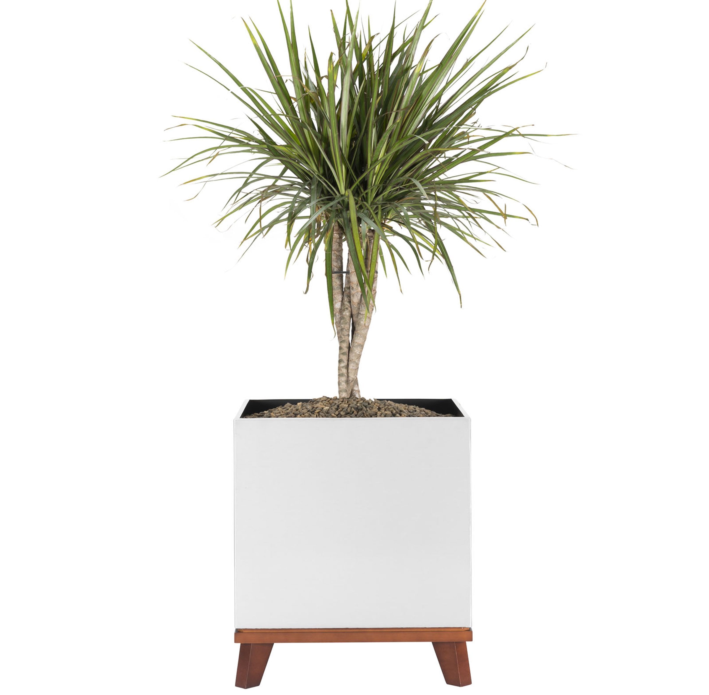 Chic Silver Metal Indoor Plant Box, Raised Wood Base. Large 16" Cube ...