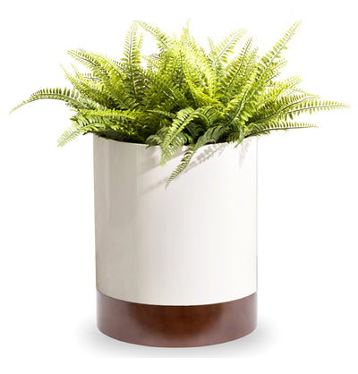 Office Planter Pots and Boxes. Indoor Office Space, Reception, Cubicle ...